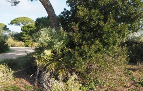 La UCA celebra dos rutas guiadas por Cádiz y Puerto Real y varios ...